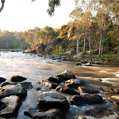 Our sustainable city